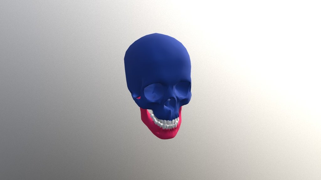 Skull Animation - Download Free 3D model by katir.johny ...