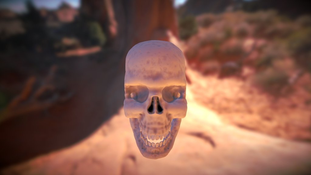 Calavera - 3D model by Davata [94a591f] - Sketchfab