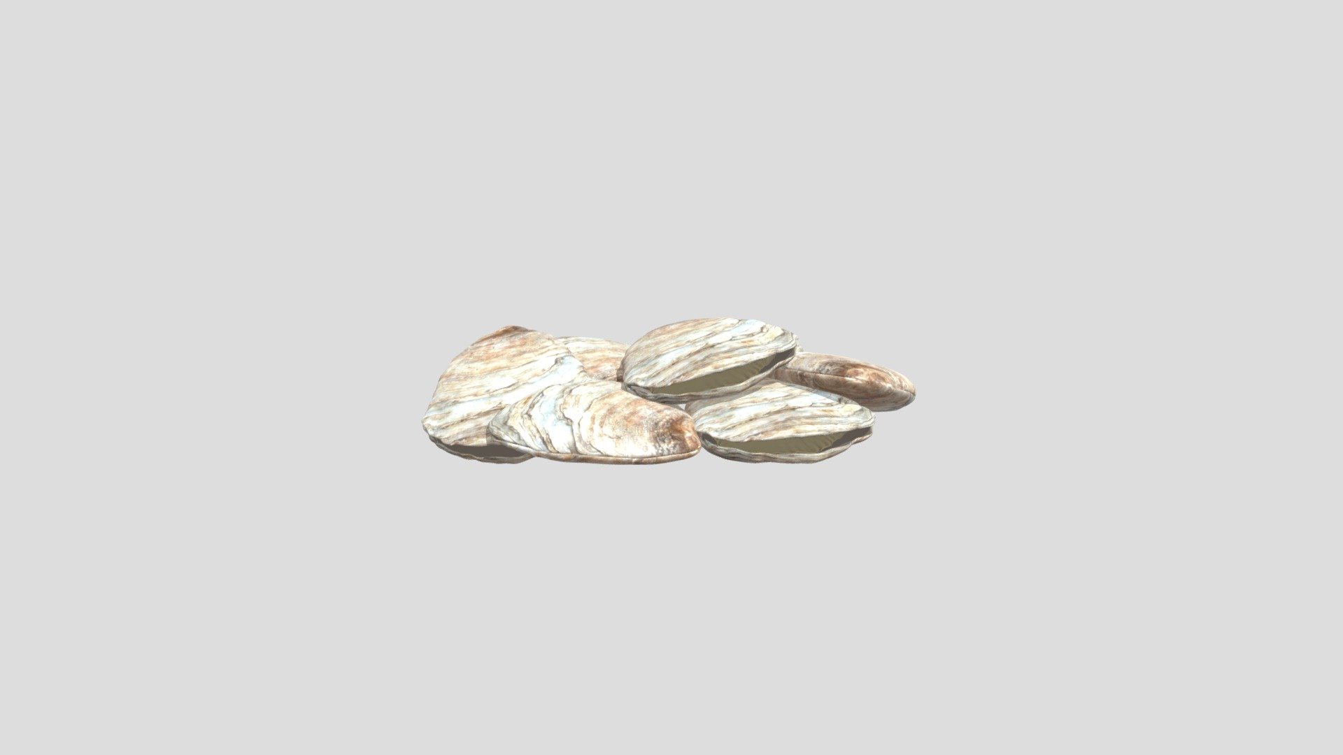 Oyster - Download Free 3D model by Wr_titan (@pitchayut.iq) [94a9292 ...