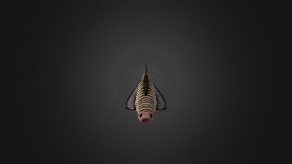 Anaspida - 3D model by iTechnol [94ac31c] - Sketchfab