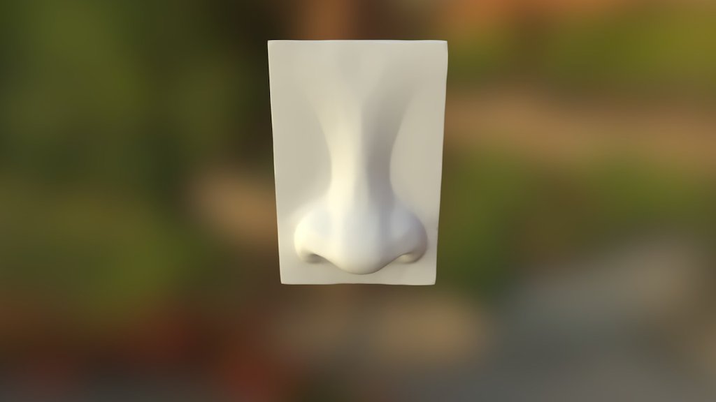 Nose - Download Free 3D model by jjaegtnes [94b05a1] - Sketchfab