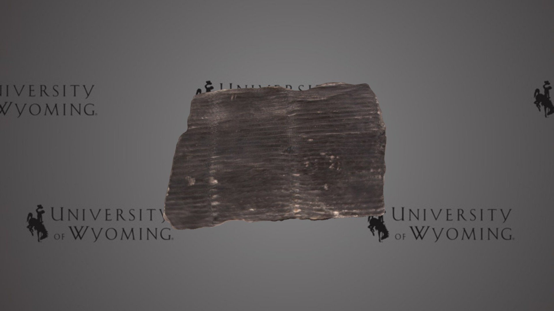UWG Plant 2 - Download Free 3D model by University of Wyoming Libraries ...