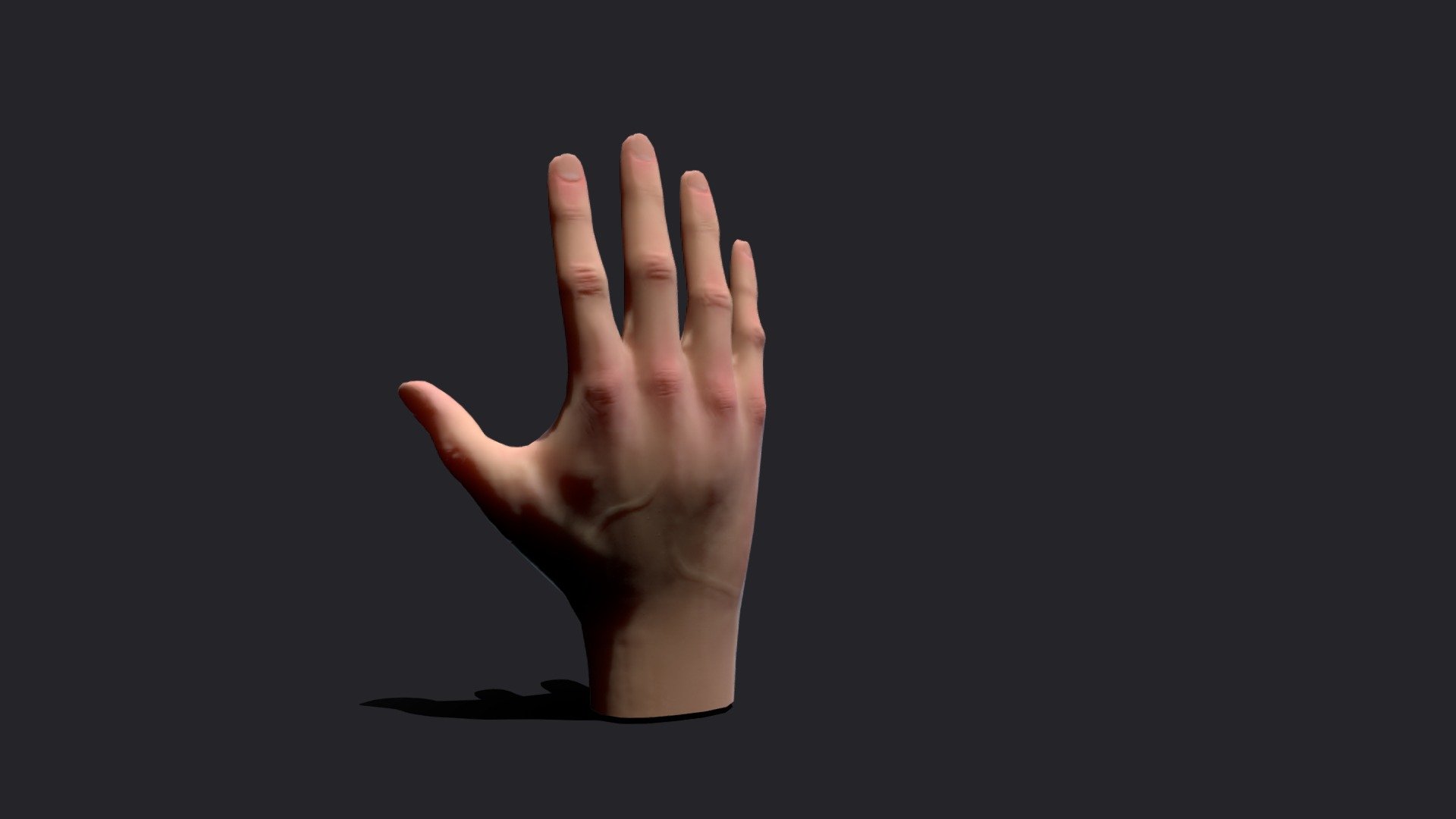 Hand - Download Free 3D model by dagtholander [94b9ea6] - Sketchfab