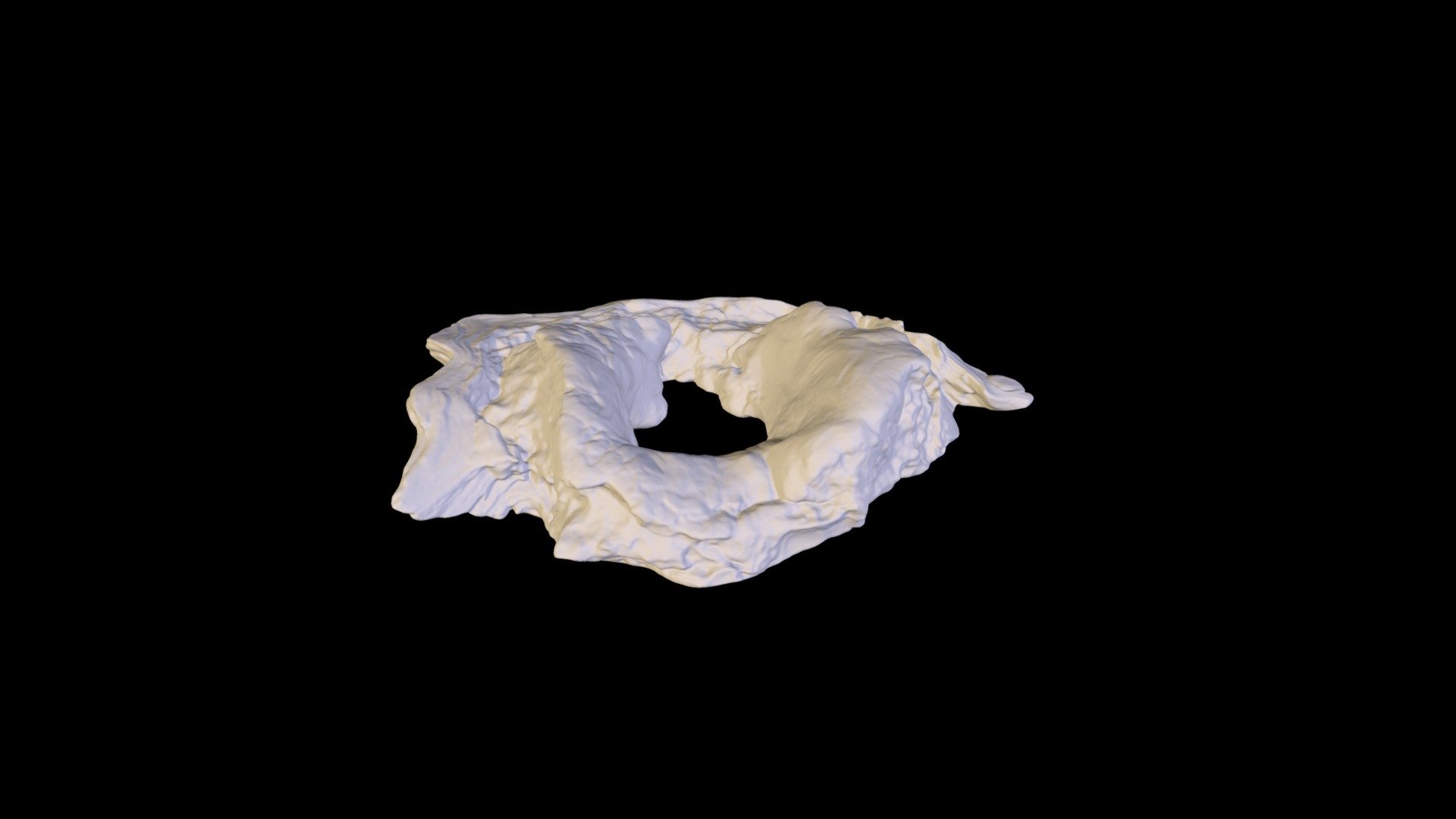 Schleicher Driftwood Knot - 3D model by Mason Schleicher (@ms5148 ...