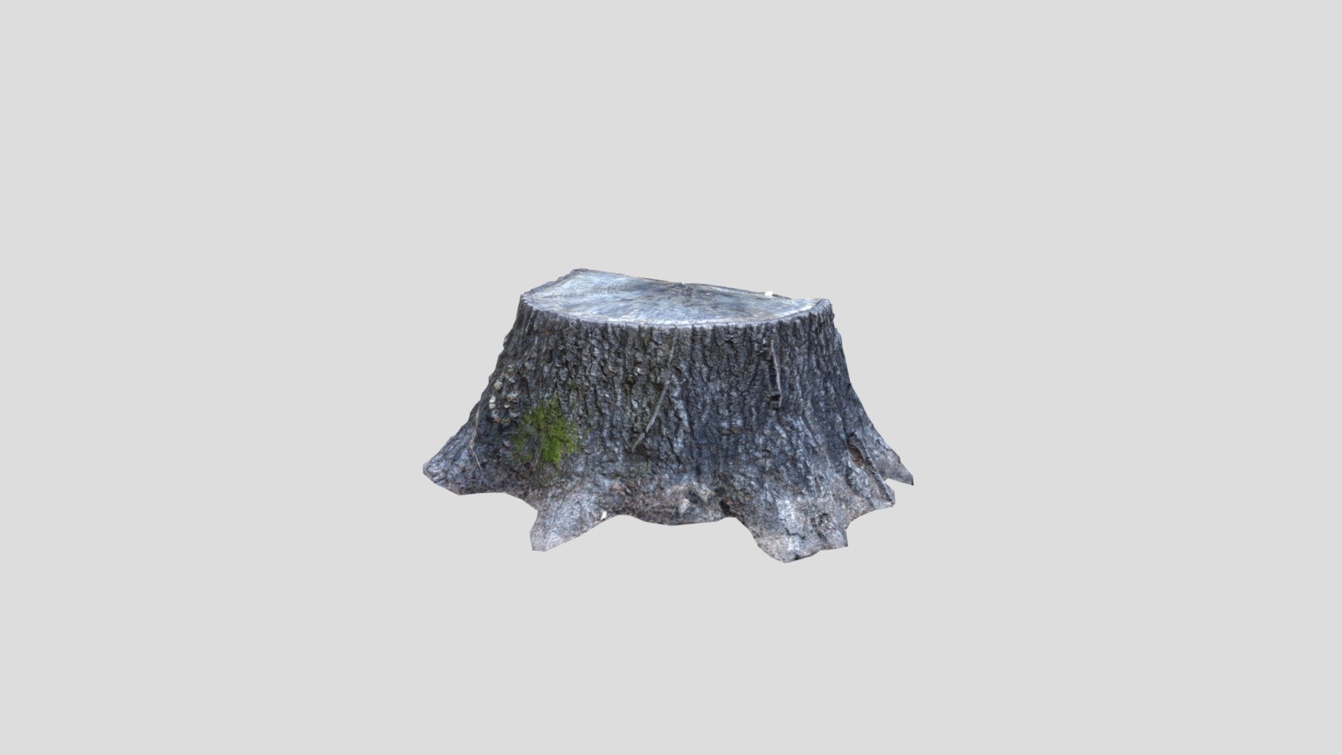 stump - 3D model by natedizzy [94ca7a7] - Sketchfab