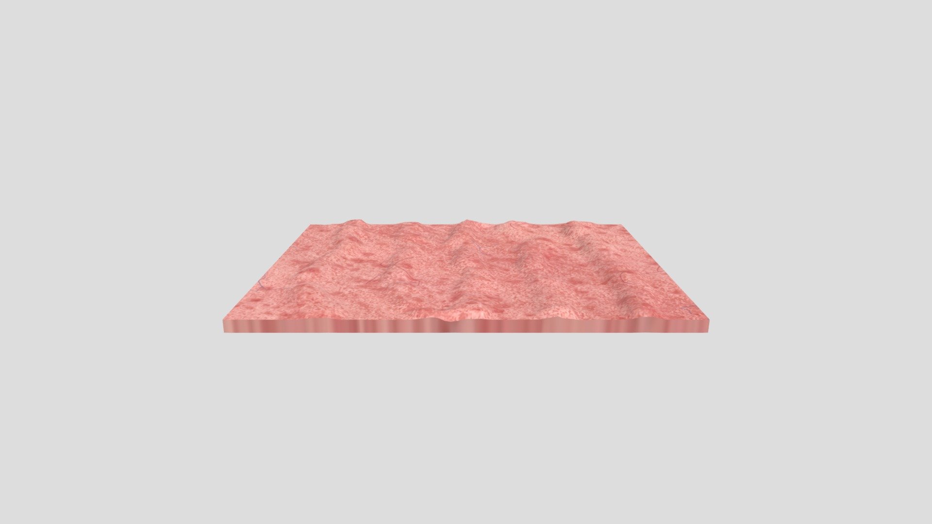 Flesh floor - Download Free 3D model by daand [94d2ef5] - Sketchfab