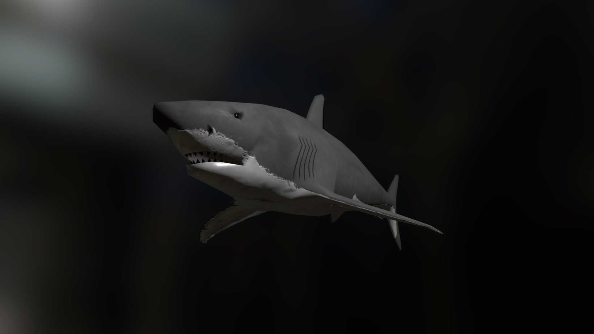 Shark - Buy Royalty Free 3D model by falk lochmann (@falk) [94d8c4c ...