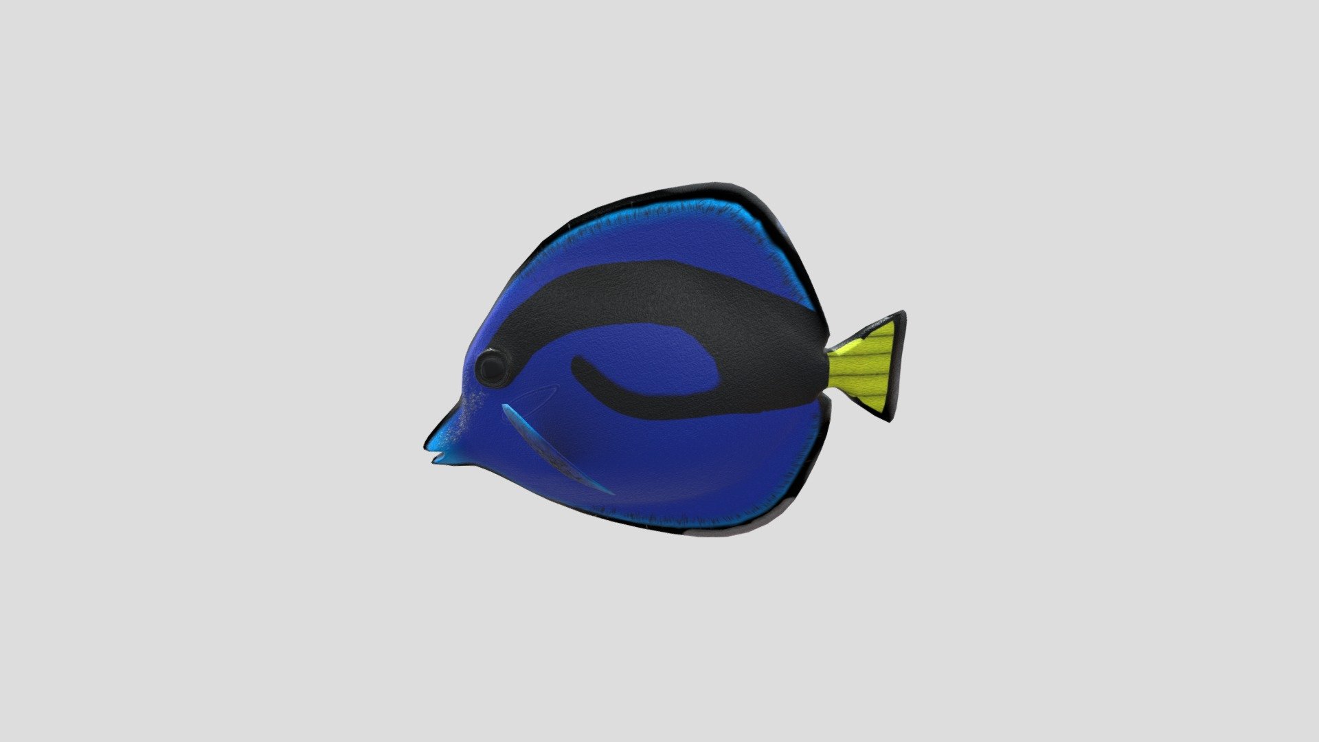Fish - Download Free 3D model by brianjernigan [94de1ca] - Sketchfab