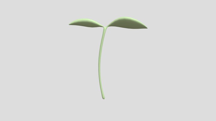 Sprout 3D models - Sketchfab