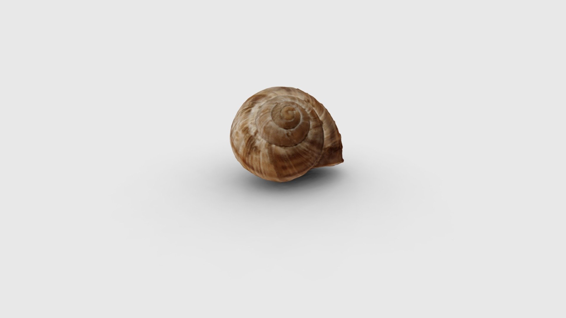 proba_csiga - 3D model by Jede [95128af] - Sketchfab