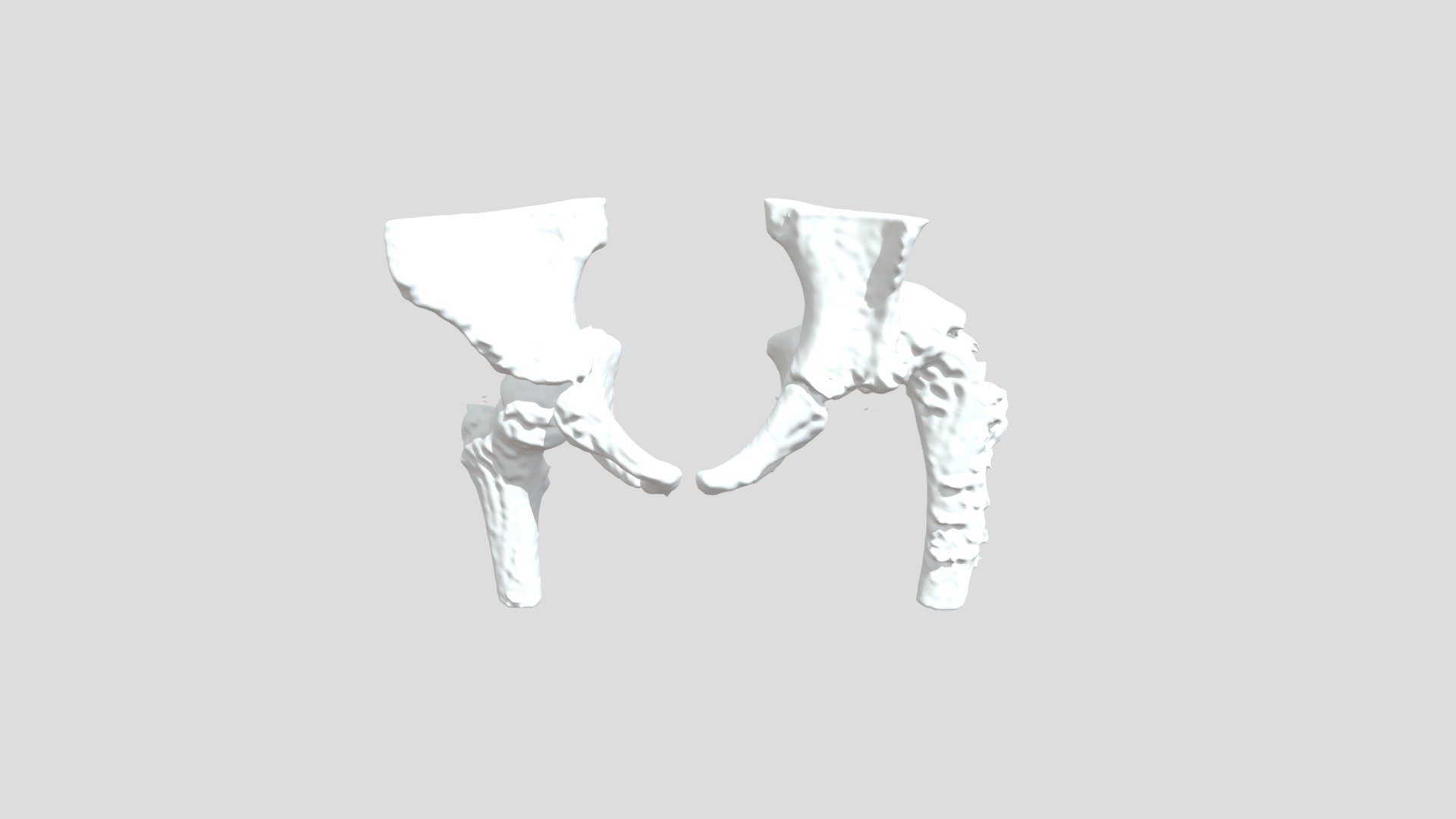 Segmentation_ Segment_3 - 3D model by tomasgalione [951473c] - Sketchfab
