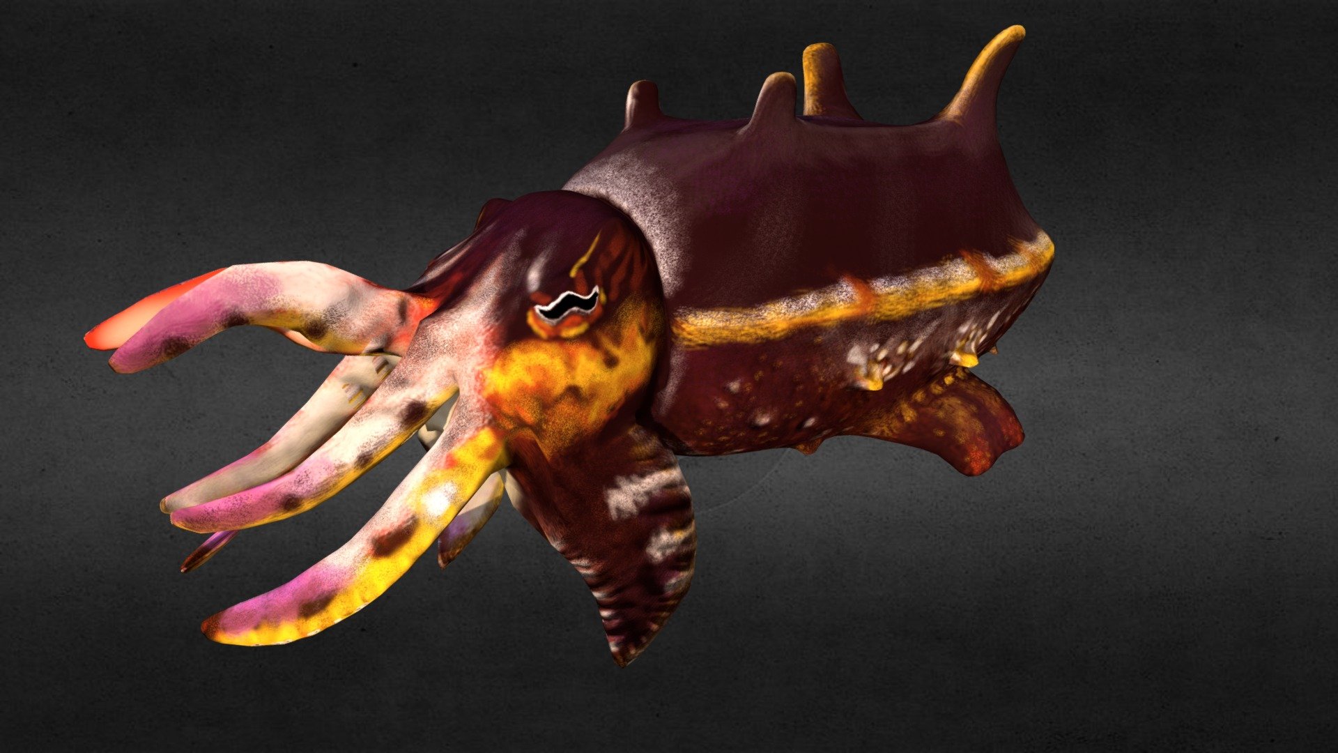 Cuttlefish Walking - Buy Royalty Free 3D model by 8-Ball Development ...