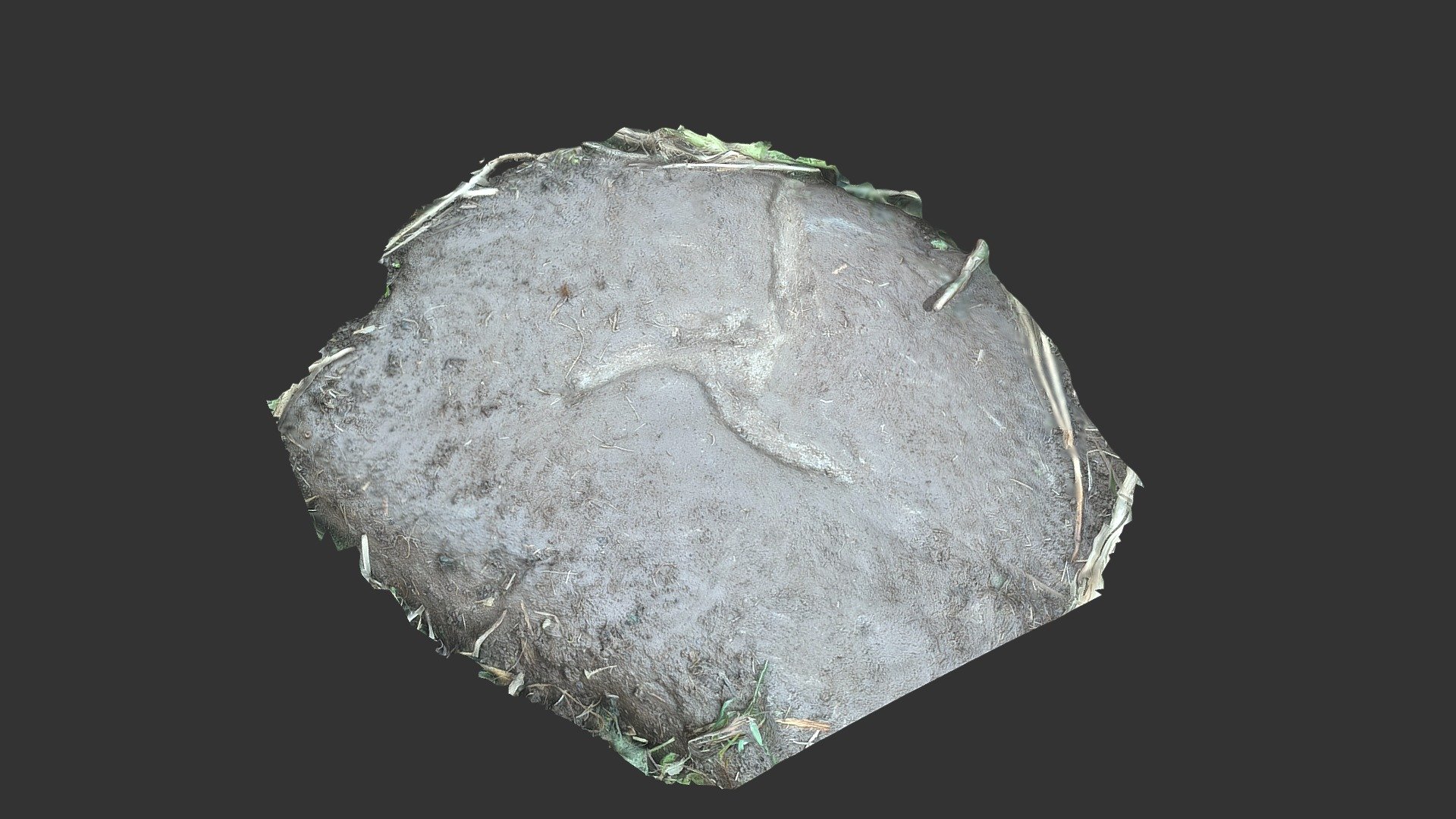 3 way Feature on Boulder - 3D model by HeritageNI.com (@heritageNI ...