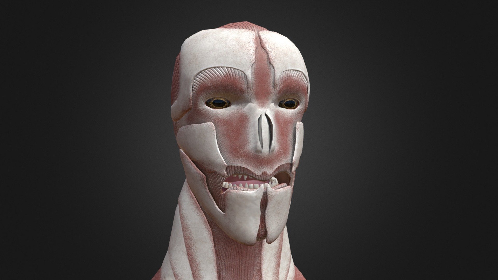 Character bust - 3D model by Ethan Cragun (@EDIIIC) [951d69f] - Sketchfab