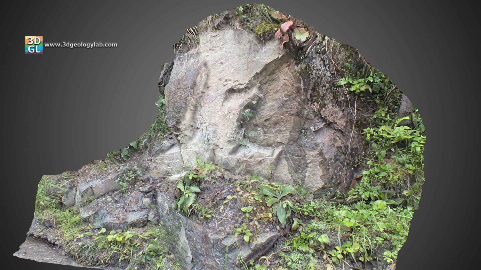 Outcrop - H207 - 3D model by 3D Geology Laboratory (@3DGeologyLab ...