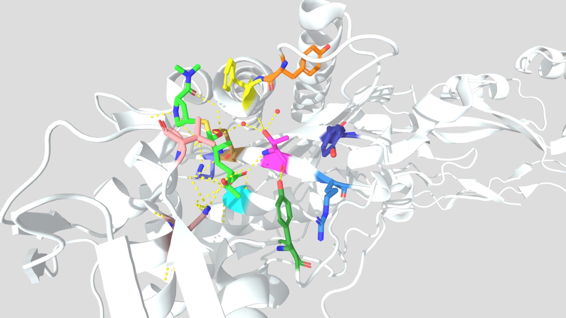 PBR and meropenem - 3D model by JO (@jyothy) [9529c43] - Sketchfab