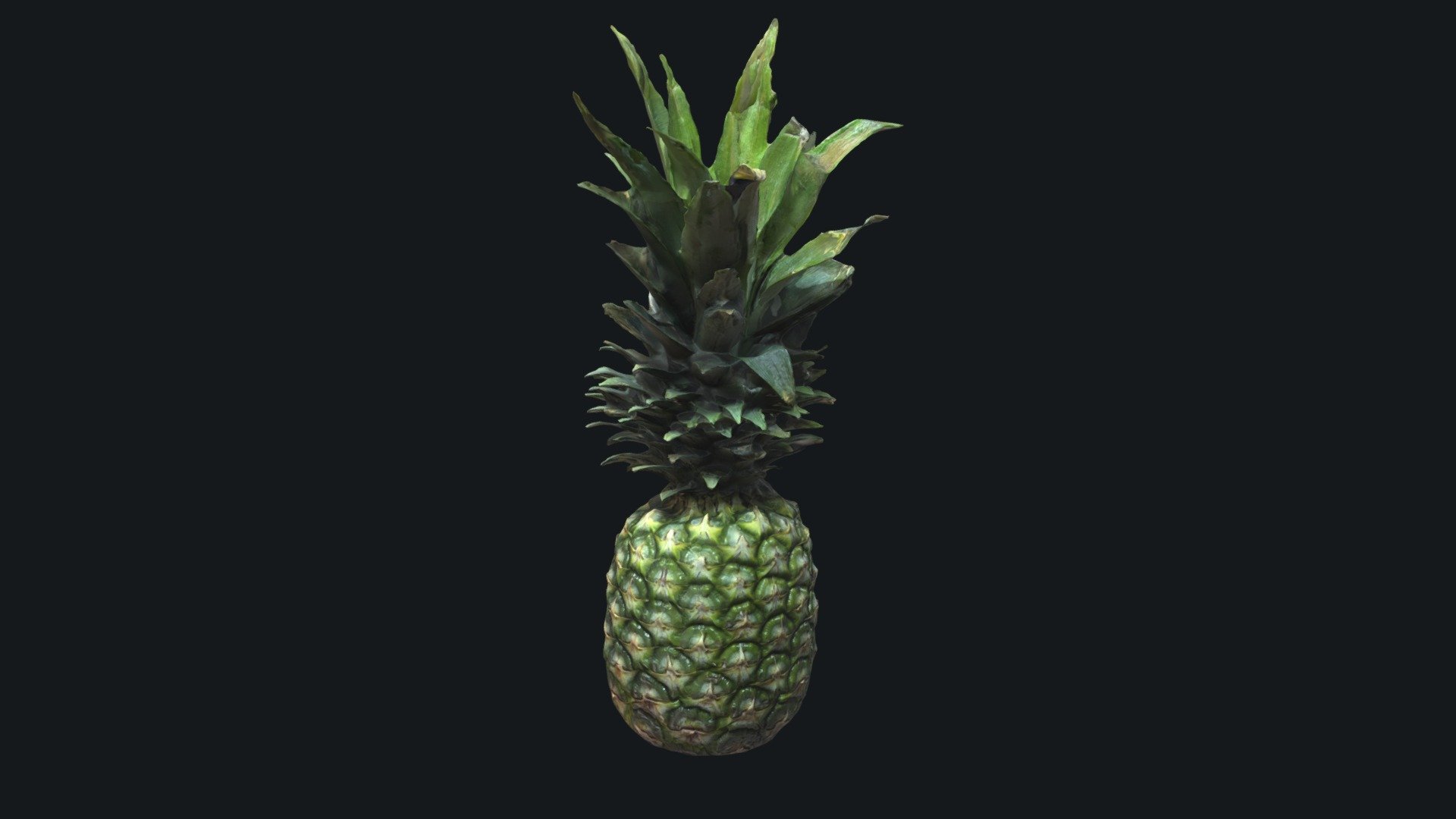 Pineapple - Download Free 3D model by Sian.McAfee [95316bc] - Sketchfab