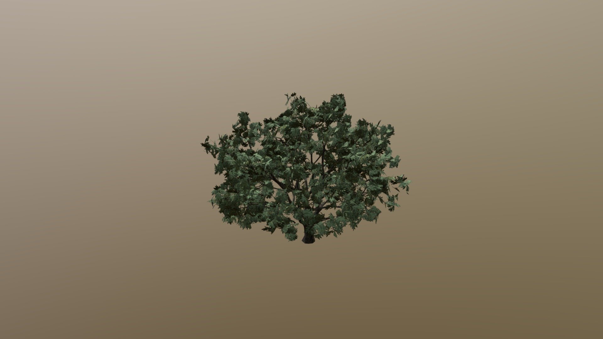 Cay 2 - Download Free 3D model by thangtacong [95329cd] - Sketchfab