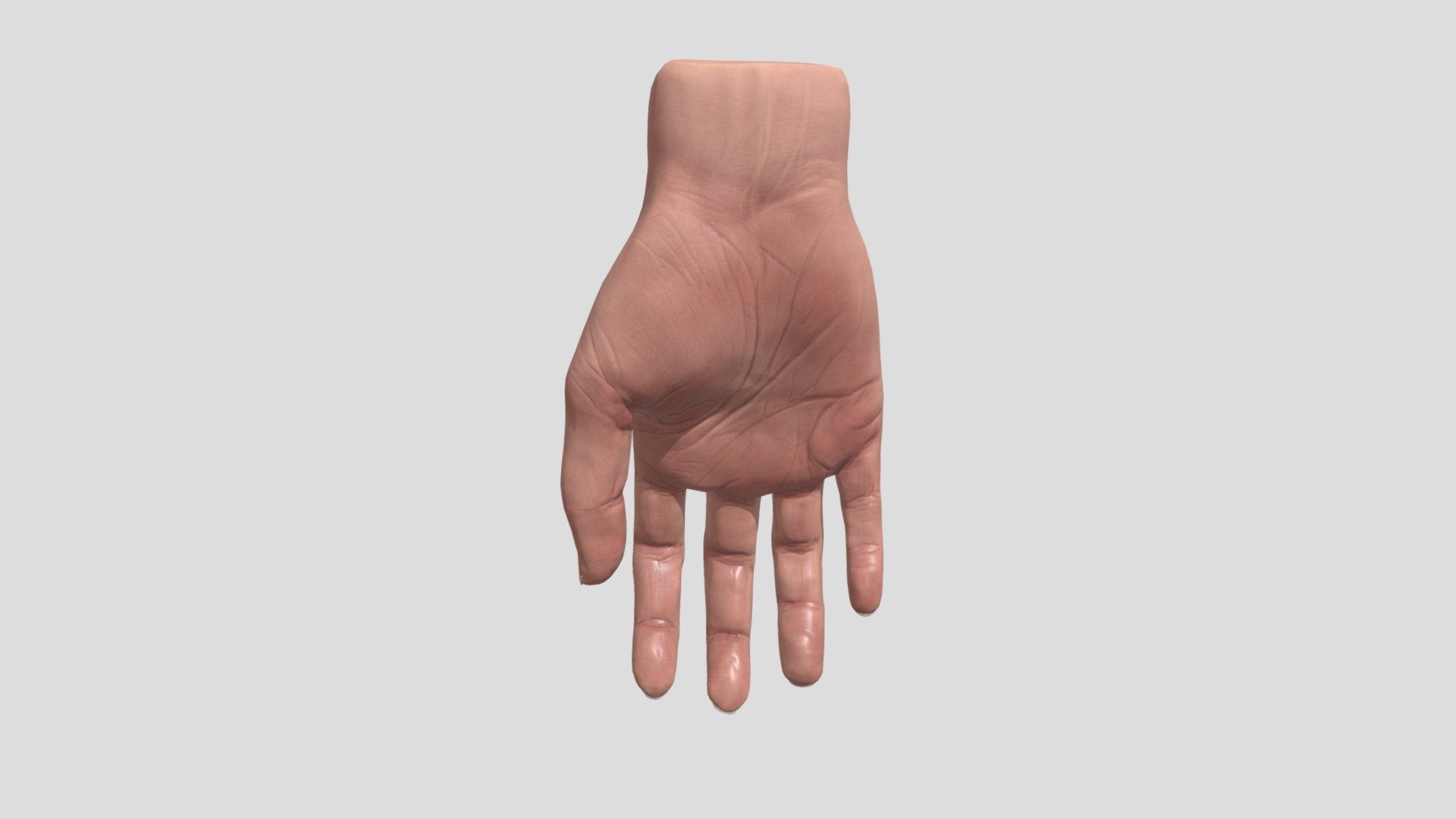 Hand - 3D model by tmann [95336db] - Sketchfab