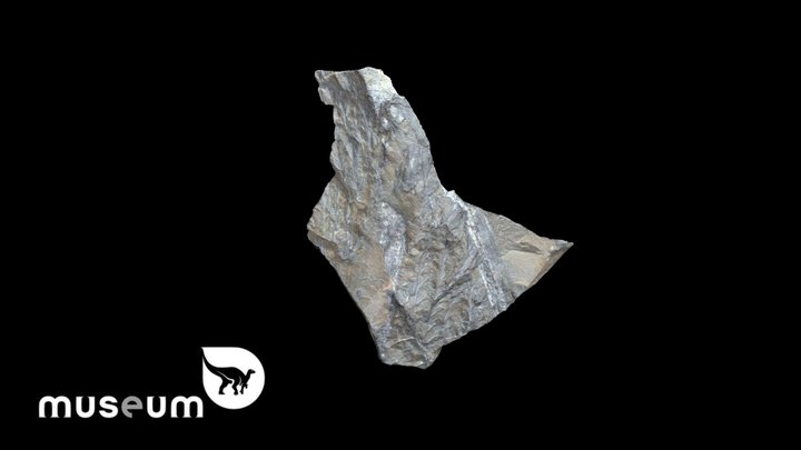 Rhodea 3D models - Sketchfab