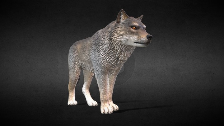 Ruff 3D models - Sketchfab