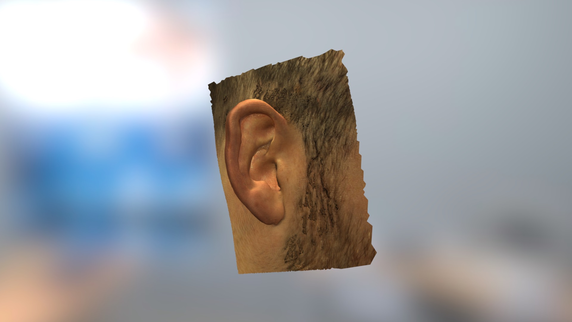 3D ear scan with biometric landmarks highlighted - 3D model by Art in ...