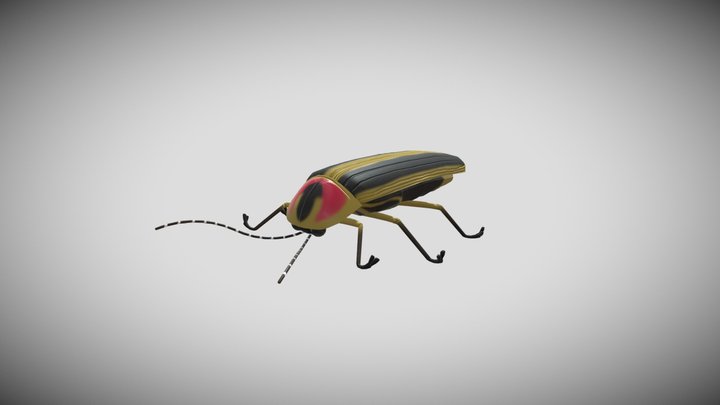 Lightningbug 3D models - Sketchfab