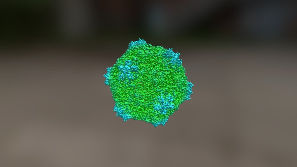 EMDB › EMD-8609 - 3D model by Interactive 3D Data (@proteinsimulation ...