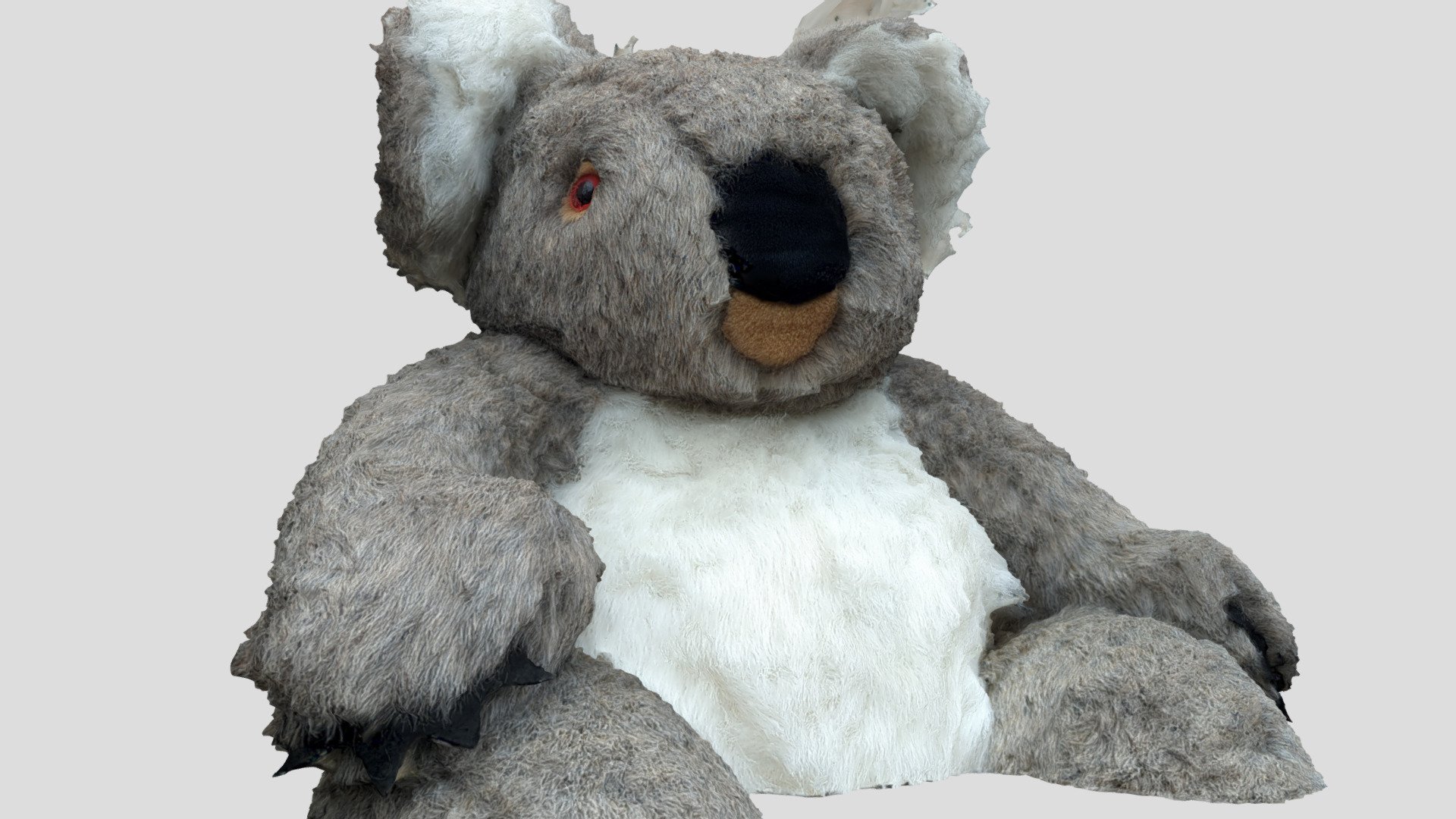 koala コアラ - Download Free 3D model by minase_souya [954ba2d] - Sketchfab