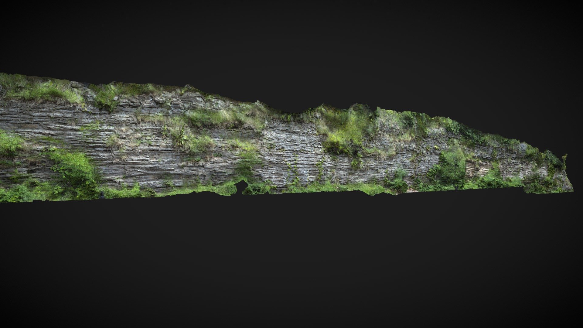 Forest Cliff photogrammetry 3d model No - 1 - Buy Royalty Free 3D model by 3D assets ...