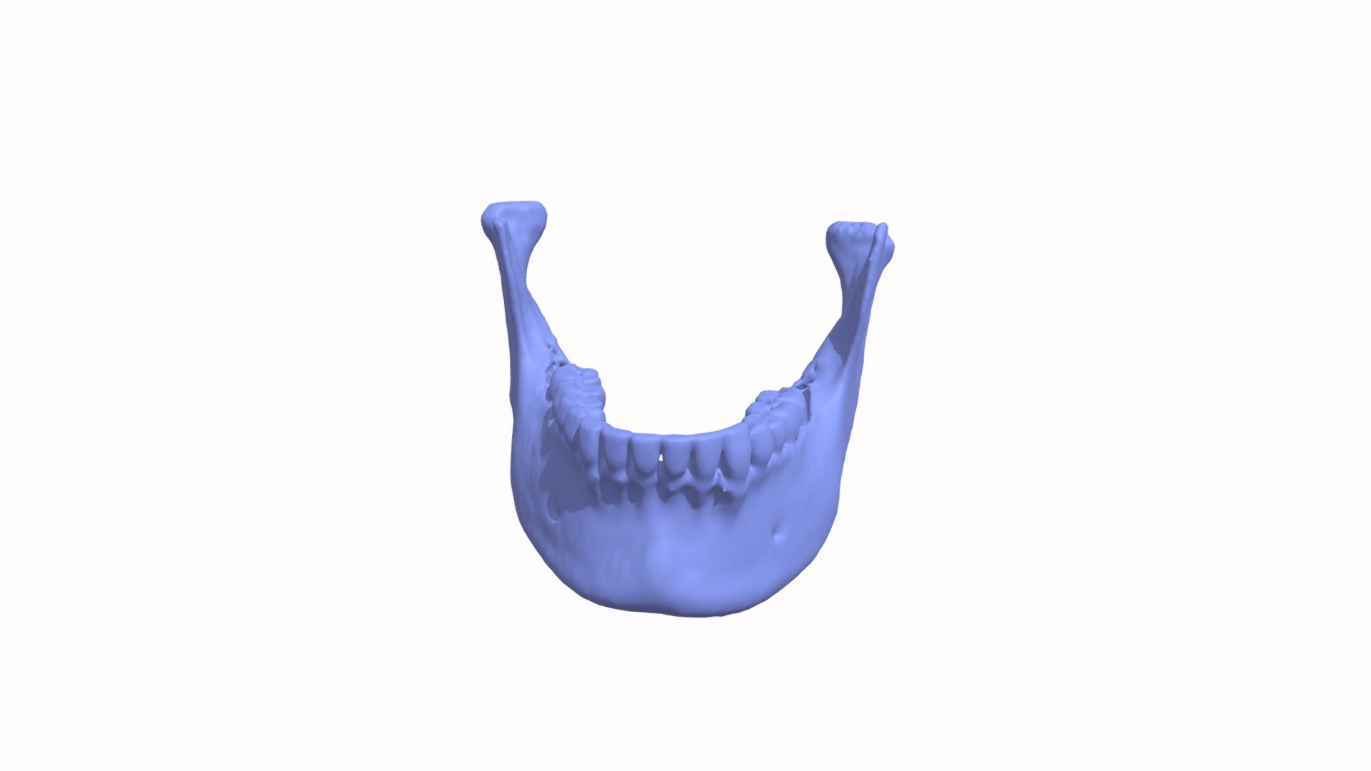 Mandible - 3D model by Hanna682 [9552573] - Sketchfab
