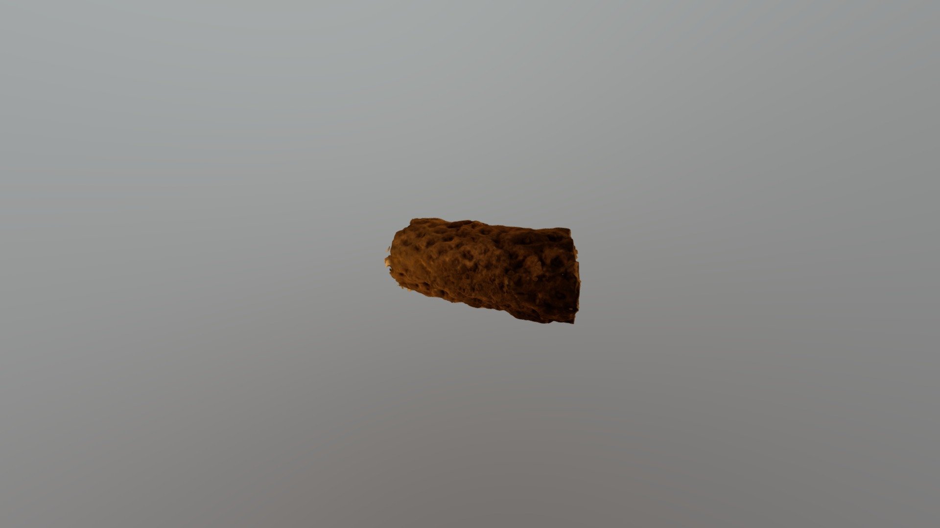 Plant Evolution Model - 3D model by UIHistoricalGeology [95548b3 ...