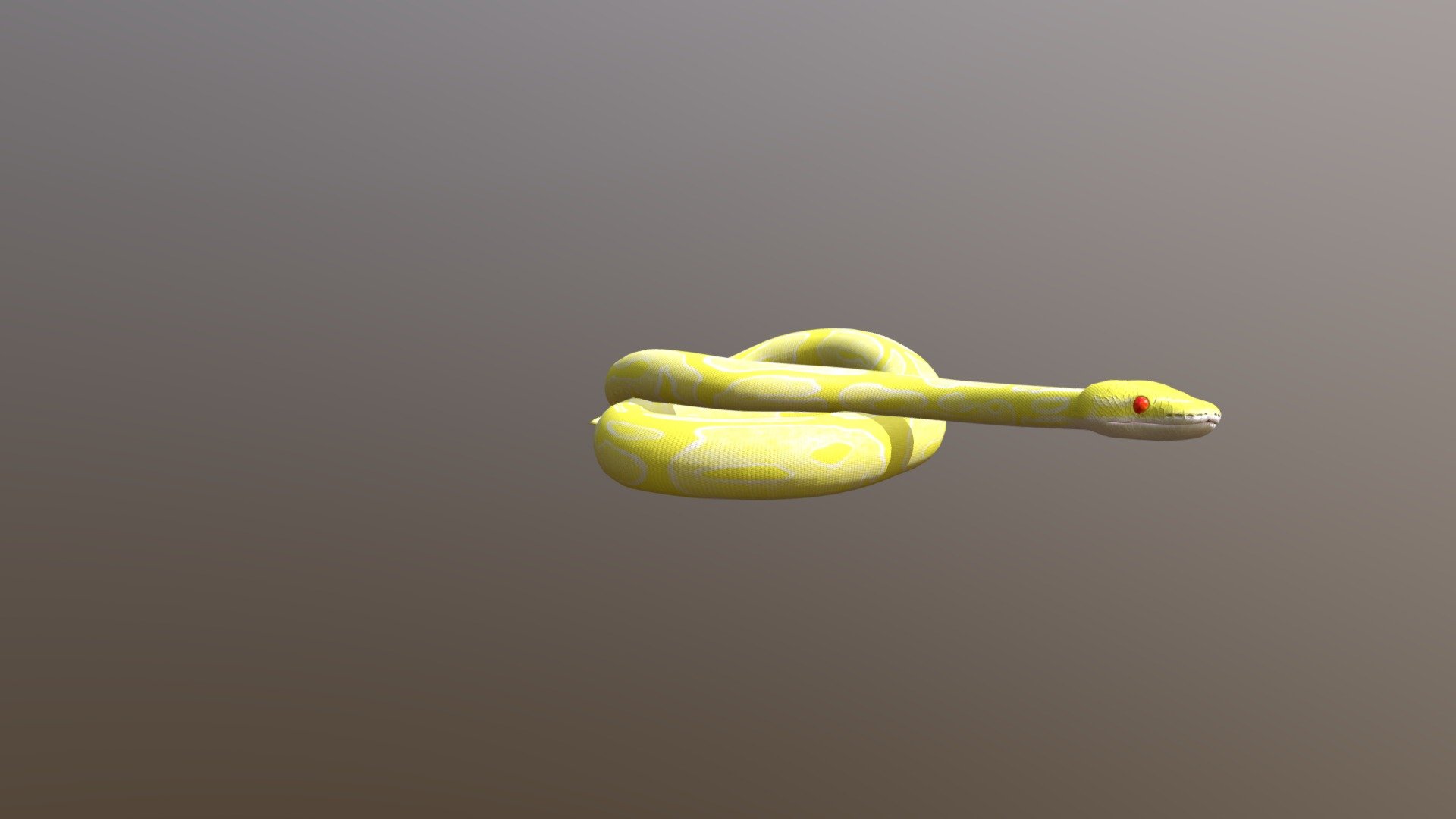 Albino Golden Python - 3D model by kenchoo [9556a8c] - Sketchfab