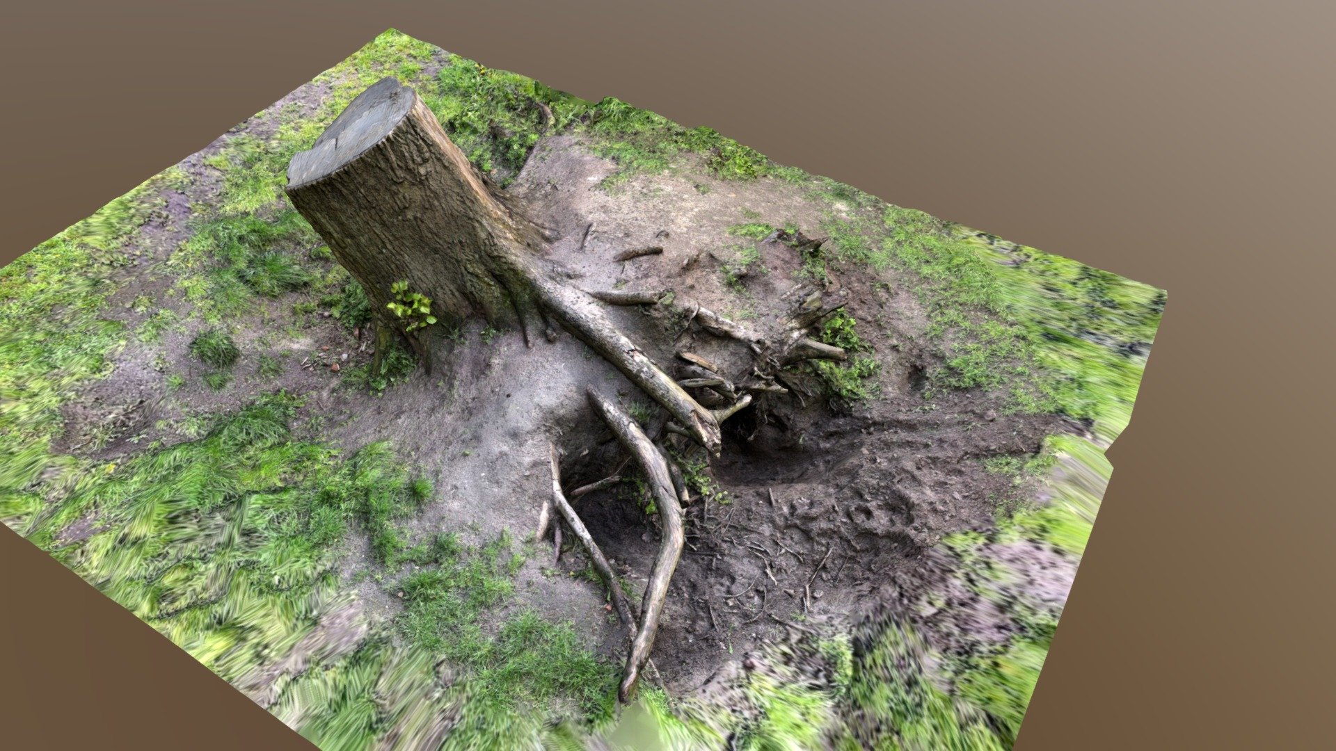 Dead tree trunk with fox hole - Download Free 3D model by Mahmood ...