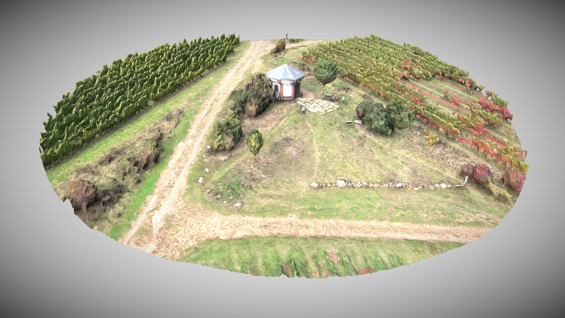 Vineyard Eltville-Germany - Download Free 3D model by ScanLabFB ...