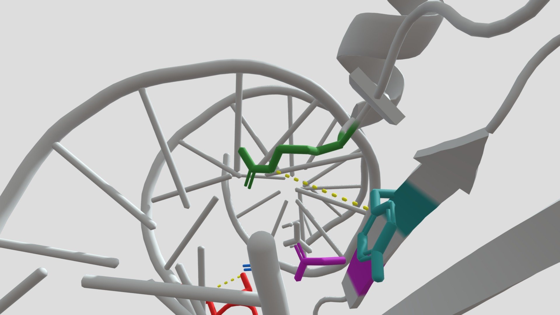 Methyl-CpG Binding Domain (MBD) of MBD4 in DNA - 3D model by etat3716 ...