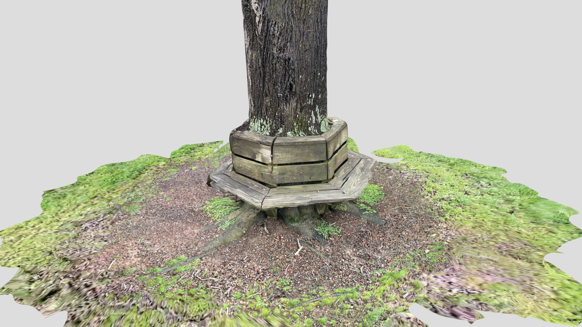 Tree with Bench-poly - Download Free 3D model by Brent.Bowers [9567c81 ...