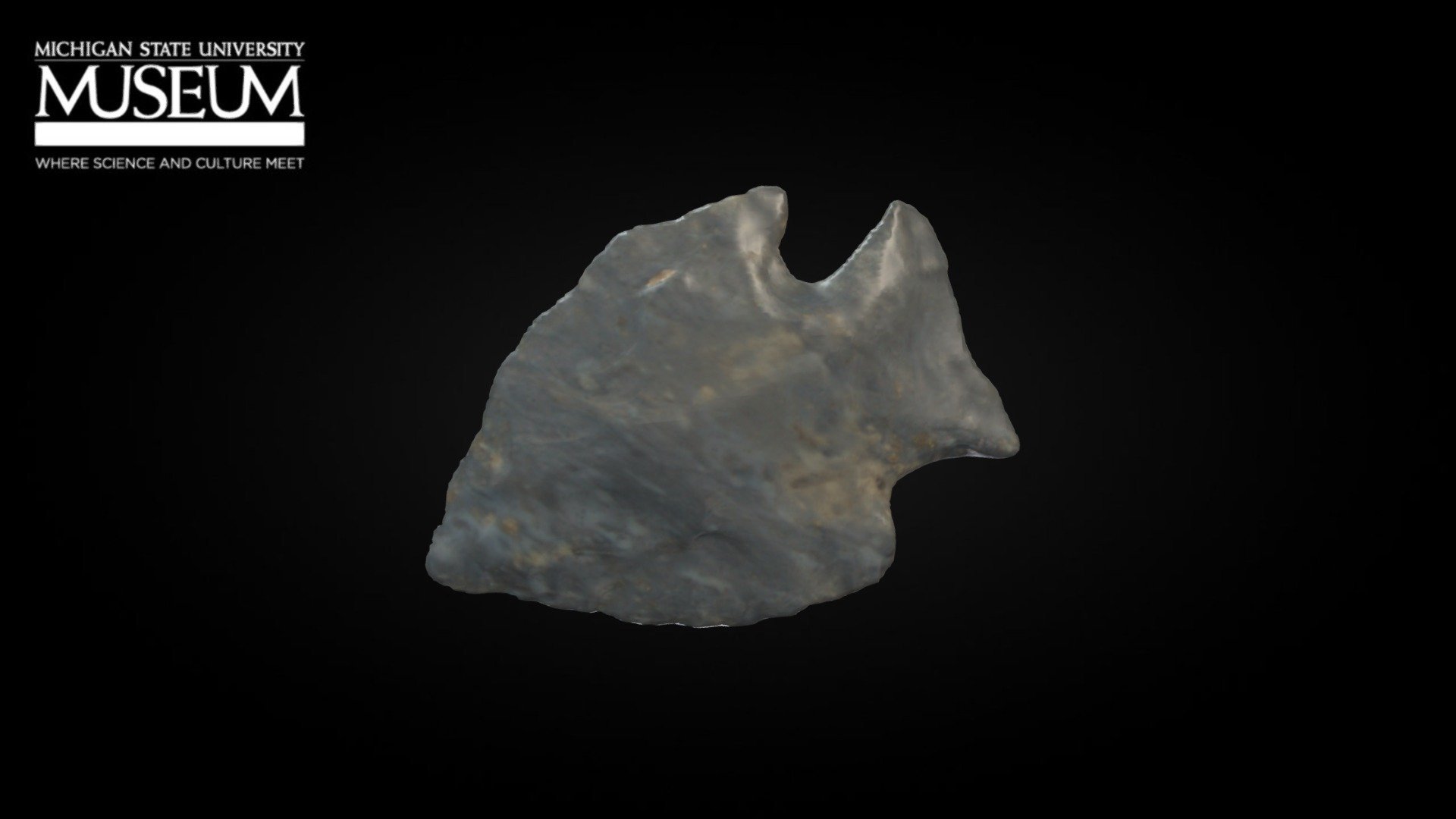 Jacks Reef Corner-Notched Projectile Point - Download Free 3D model by ...