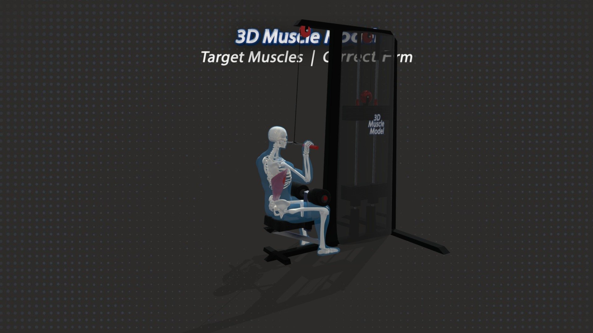 78. Cable Lat Pull Down Machine - 3D model by Mike - 3D Muscle Model (@mikeshortall1991 ...