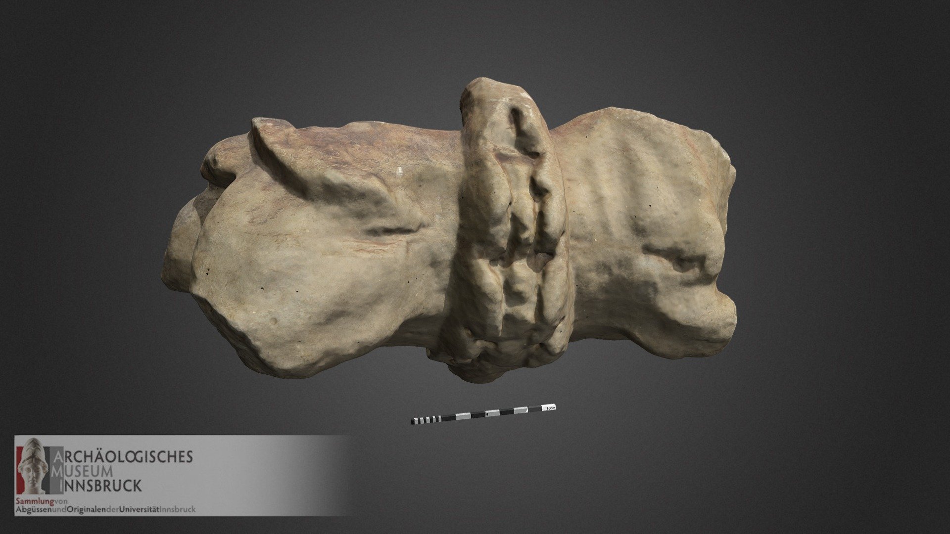 Fries Stier mit Ranke (II 0029-5.10) - 3D model by Archäologisches ...