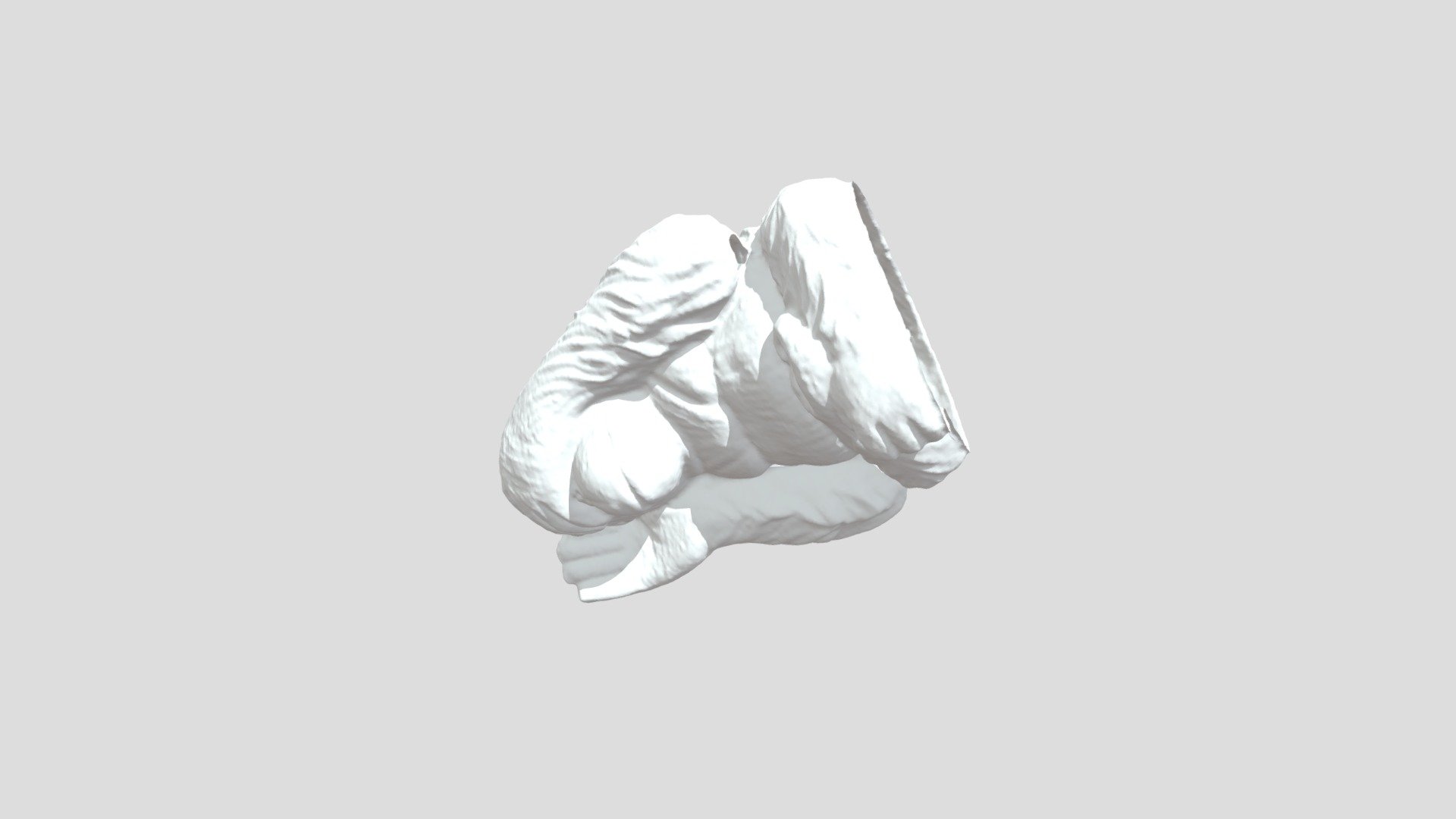 Whale Monkey Scan 2 - Download Free 3D model by Marvel3D [957771d ...