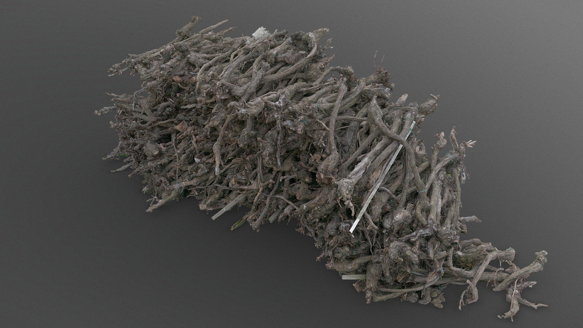 Cut grape vine wood - Buy Royalty Free 3D model by axonite [9579972 ...