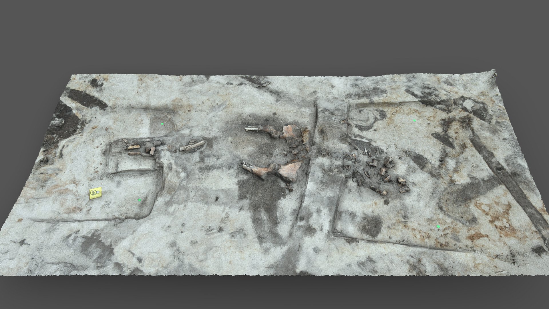 2023 BRB BEF 19 Grab Infant - 3D model by praehist3d [957ab6b] - Sketchfab