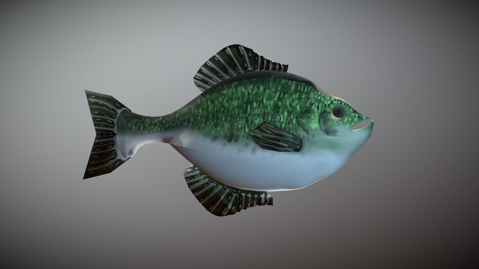 fish - Download Free 3D model by neon1819 [957af1c] - Sketchfab