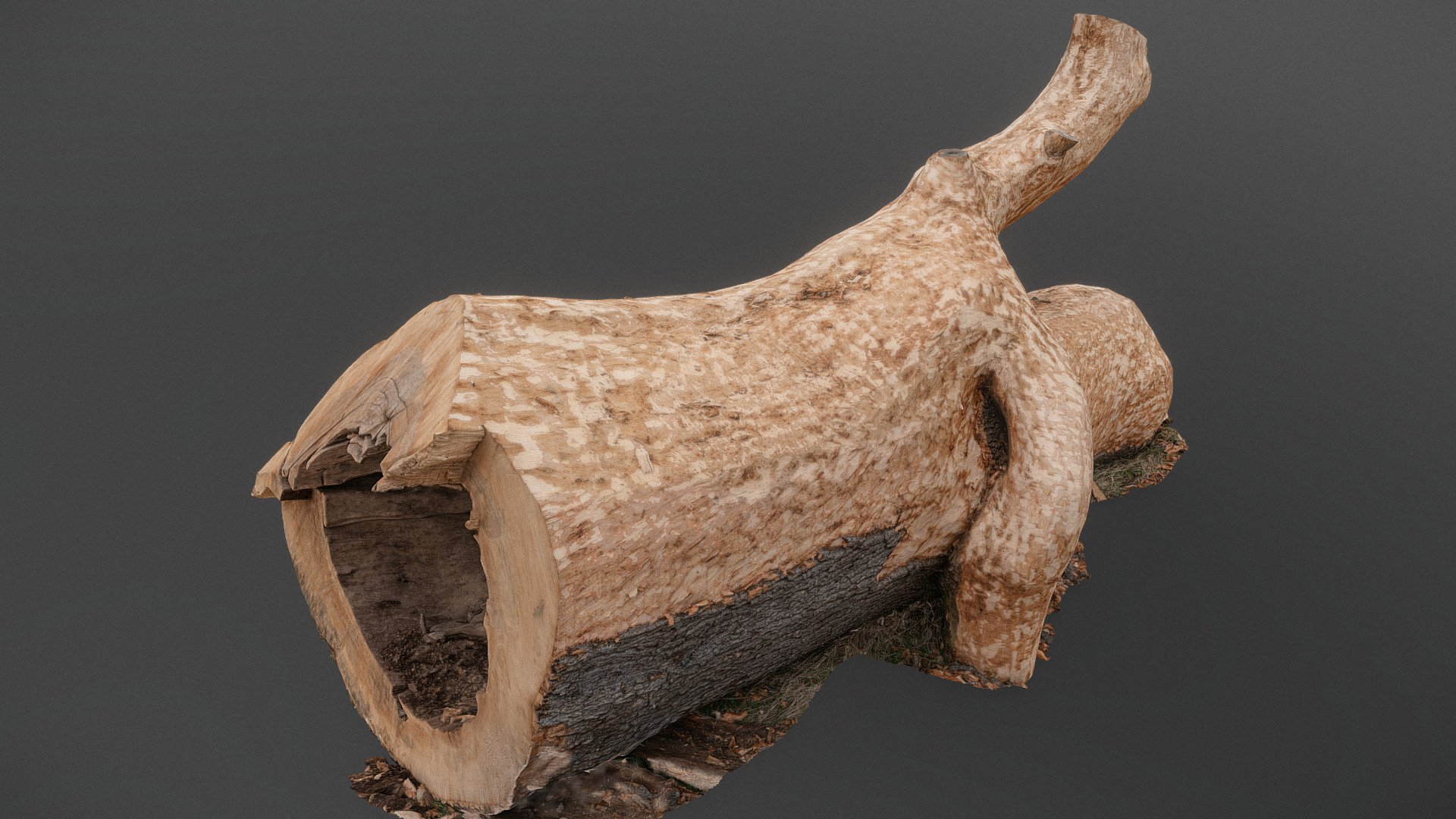 Barkless cut tree wood carving - Buy Royalty Free 3D model by ...