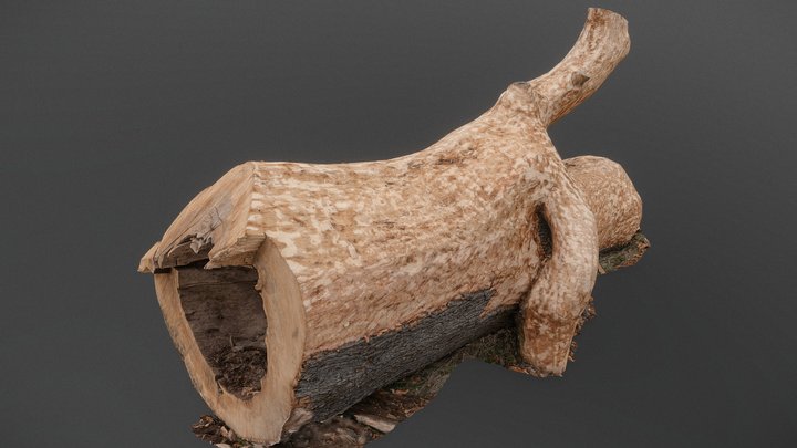 Carving 3D models - Sketchfab