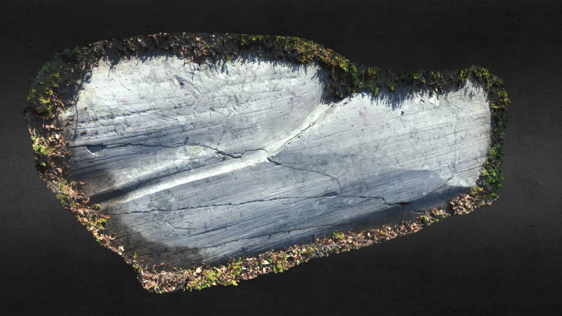 Alta Rock Art: Apana Gård 11 - 3D model by Alta Museum (@AltaMuseum ...