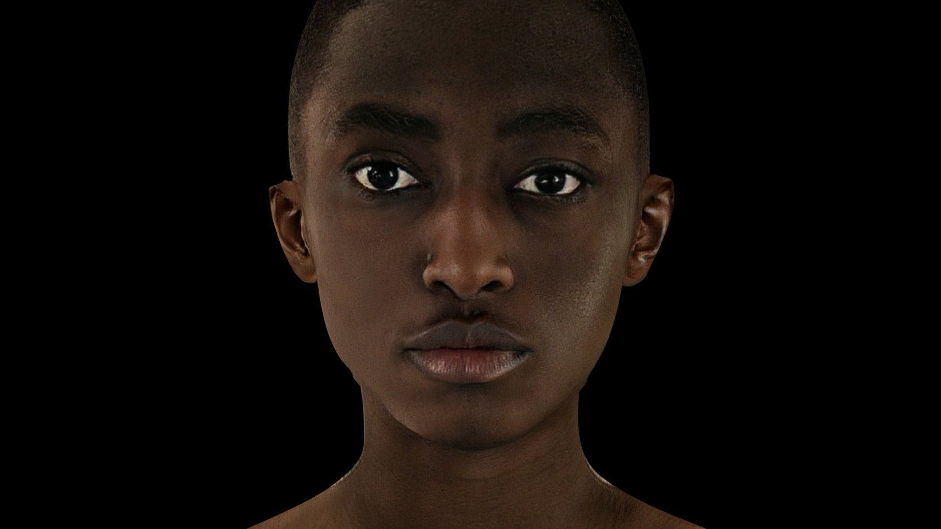 Human Dignity Collection | www.acuteline.com - Download Free 3D model ...