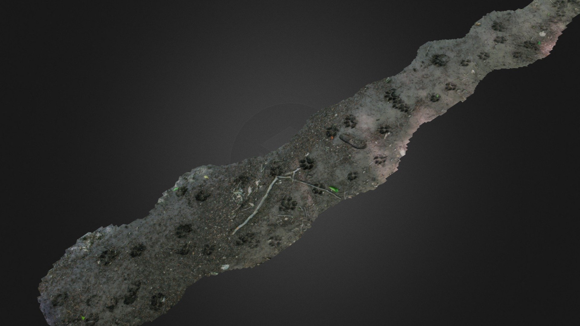 Wolfpack tracks - 3D model by SenYul [959046f] - Sketchfab