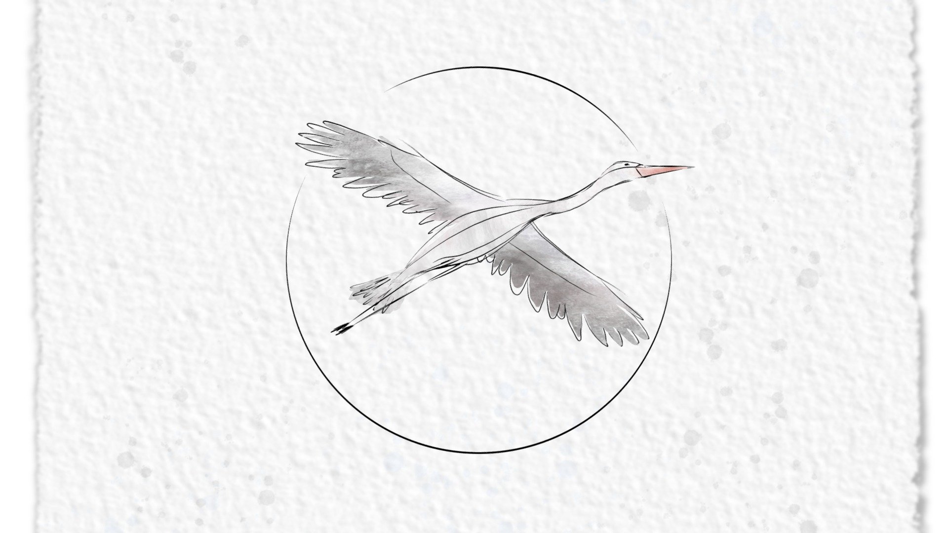 Flying animal - Watercolored stork sketch - 3D model by w1k_art (@W1k ...